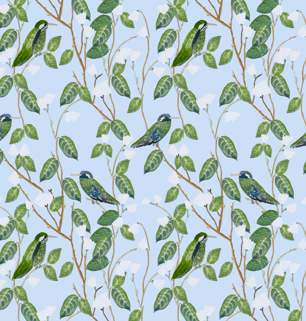 Blue Hummingbirds Wallpaper | Luxury Nature Pattern | 10m Roll – SUPPLY Showroom